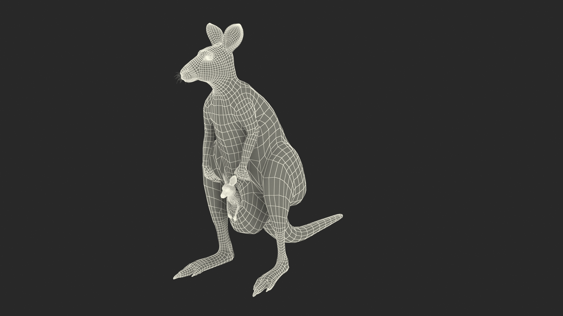 Mother Kangaroo With Baby Standing Fur 3D - TurboSquid 2249741