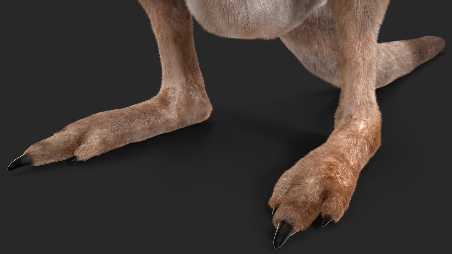 Mother Kangaroo With Baby Standing Fur 3D - TurboSquid 2249741