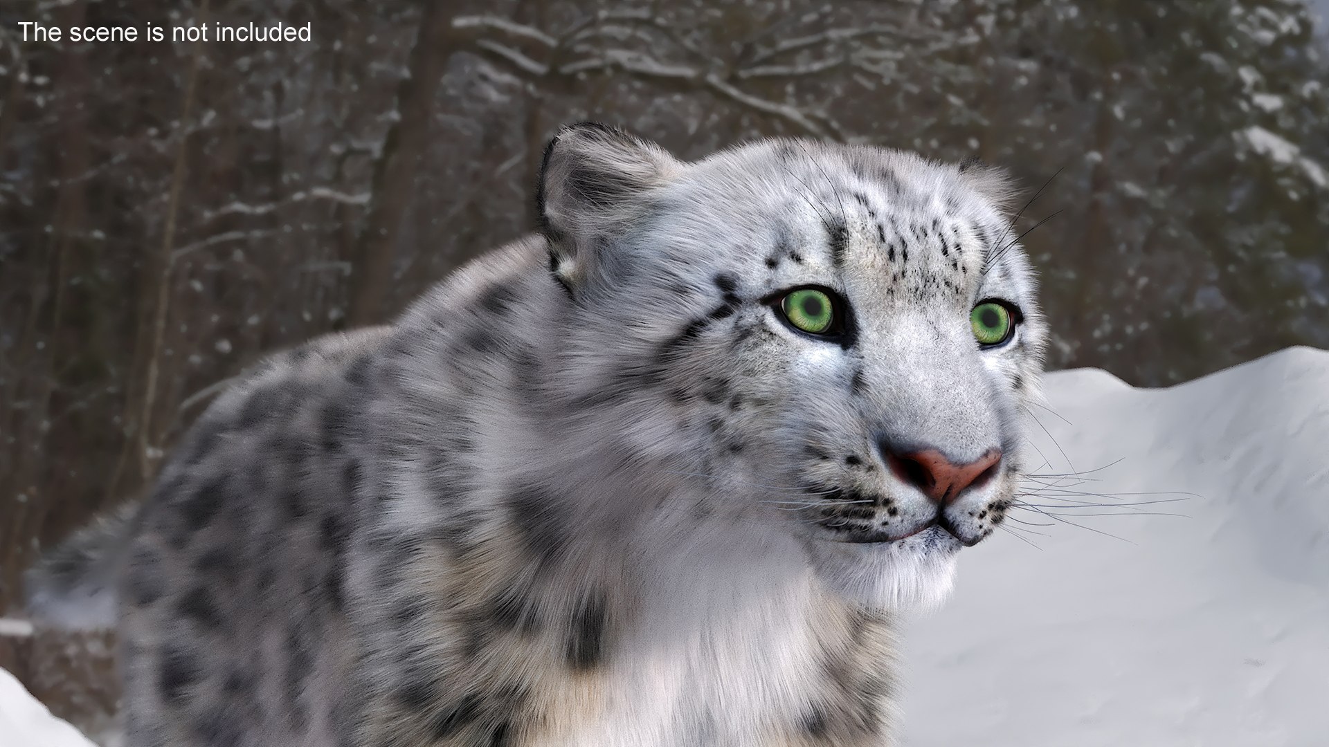Snow Leopard Fur Rigged 3D Model - TurboSquid 2357172