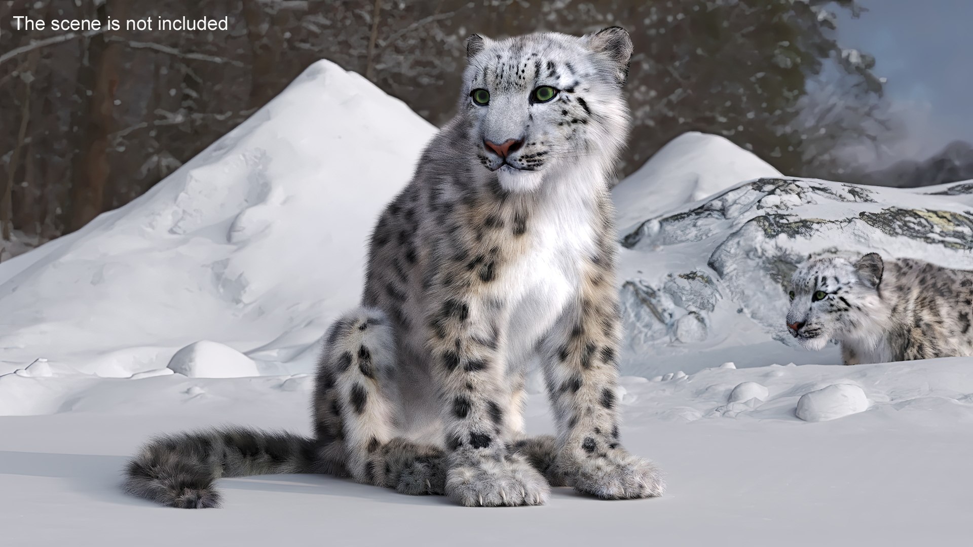 Snow Leopard Fur Rigged 3D Model - TurboSquid 2357172