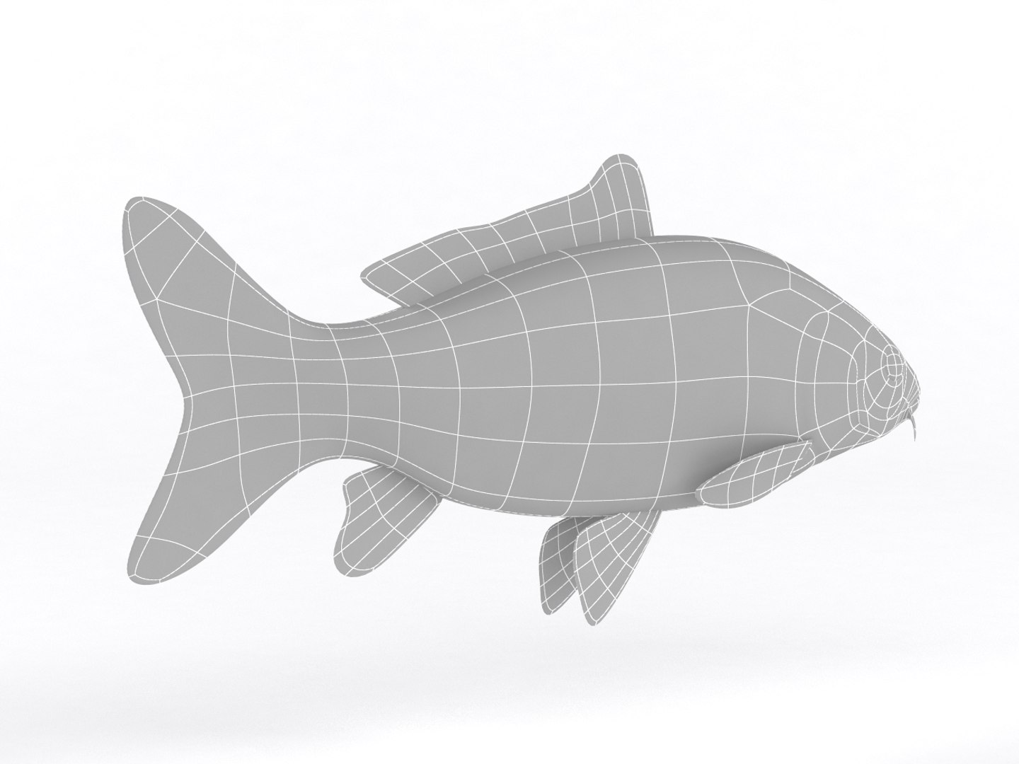 Fish Carp 3D Model - TurboSquid 1561536