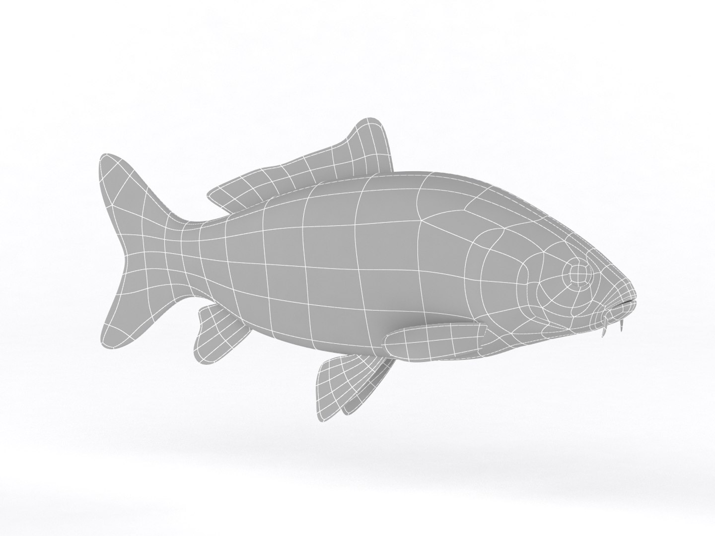 Fish Carp 3D Model - TurboSquid 1561536