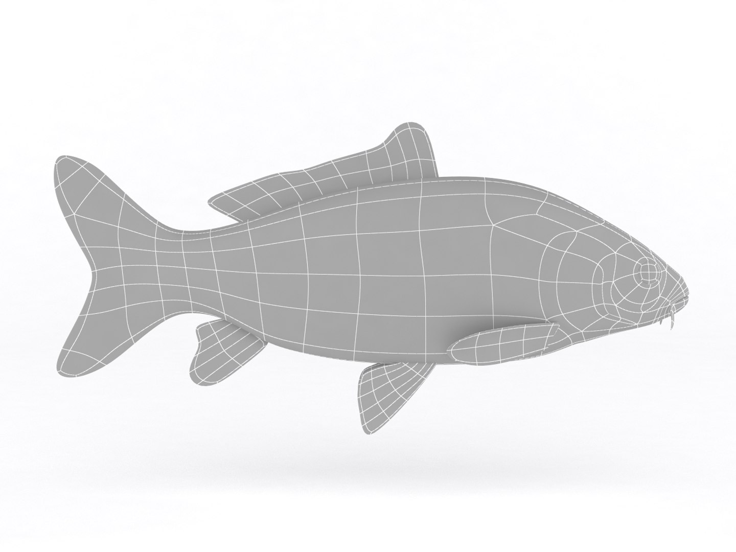 Fish Carp 3D Model - TurboSquid 1561536