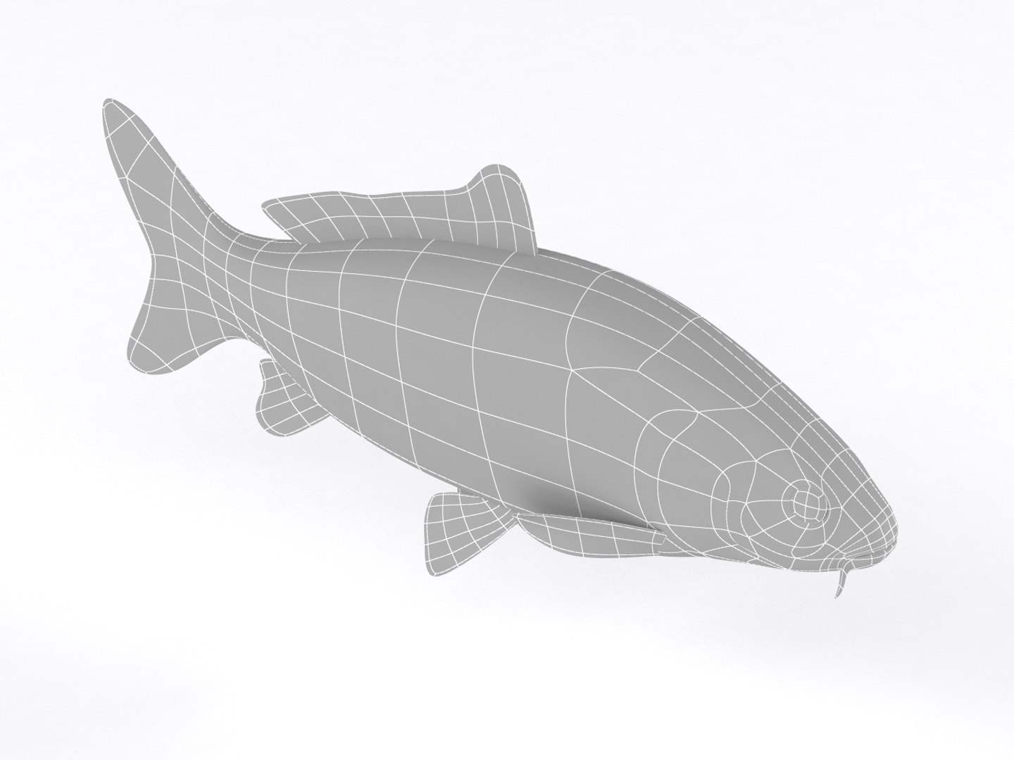 Fish Carp 3D Model - TurboSquid 1561536