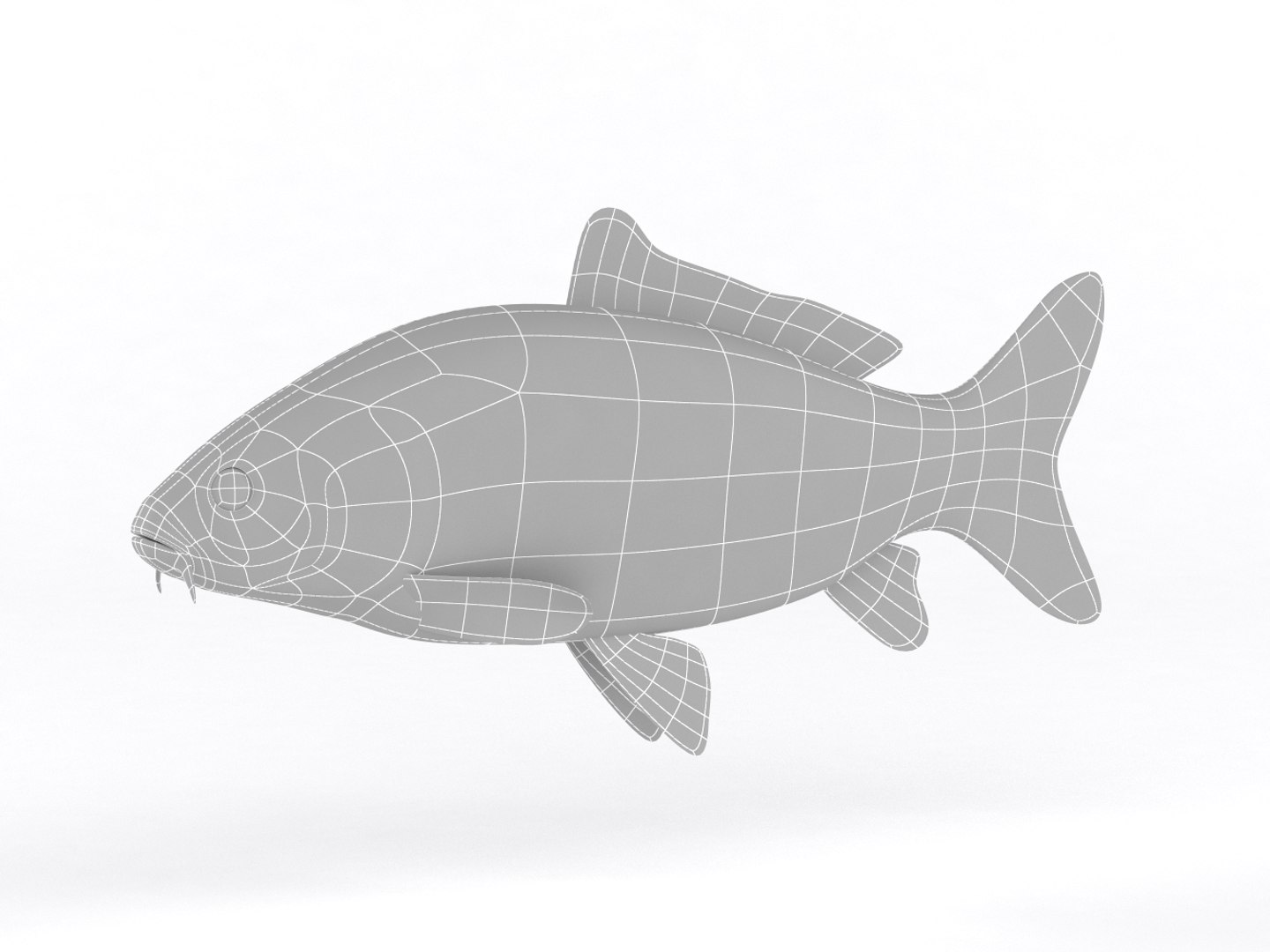 Fish Carp 3D Model - TurboSquid 1561536