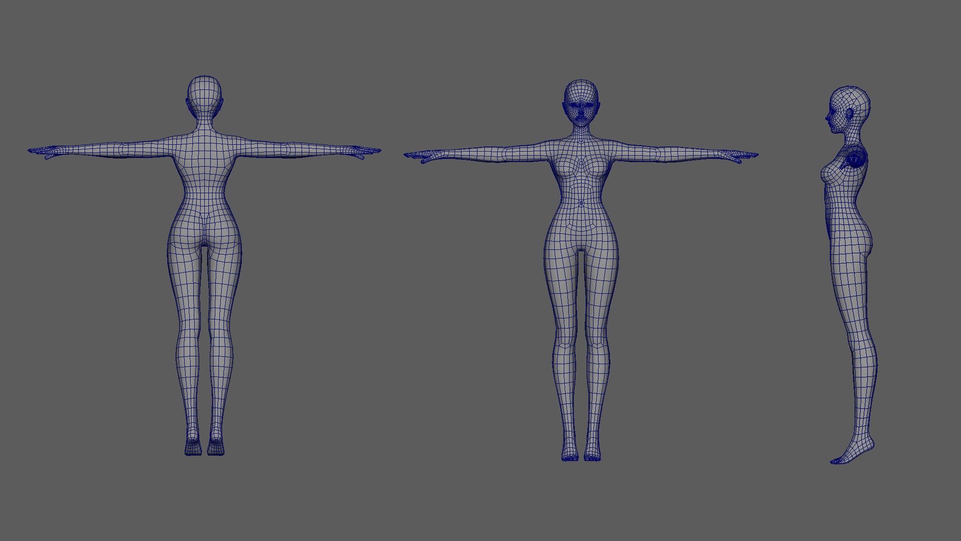 Free 3D Model Free Pack - Female Base Mesh - TurboSquid 2448921