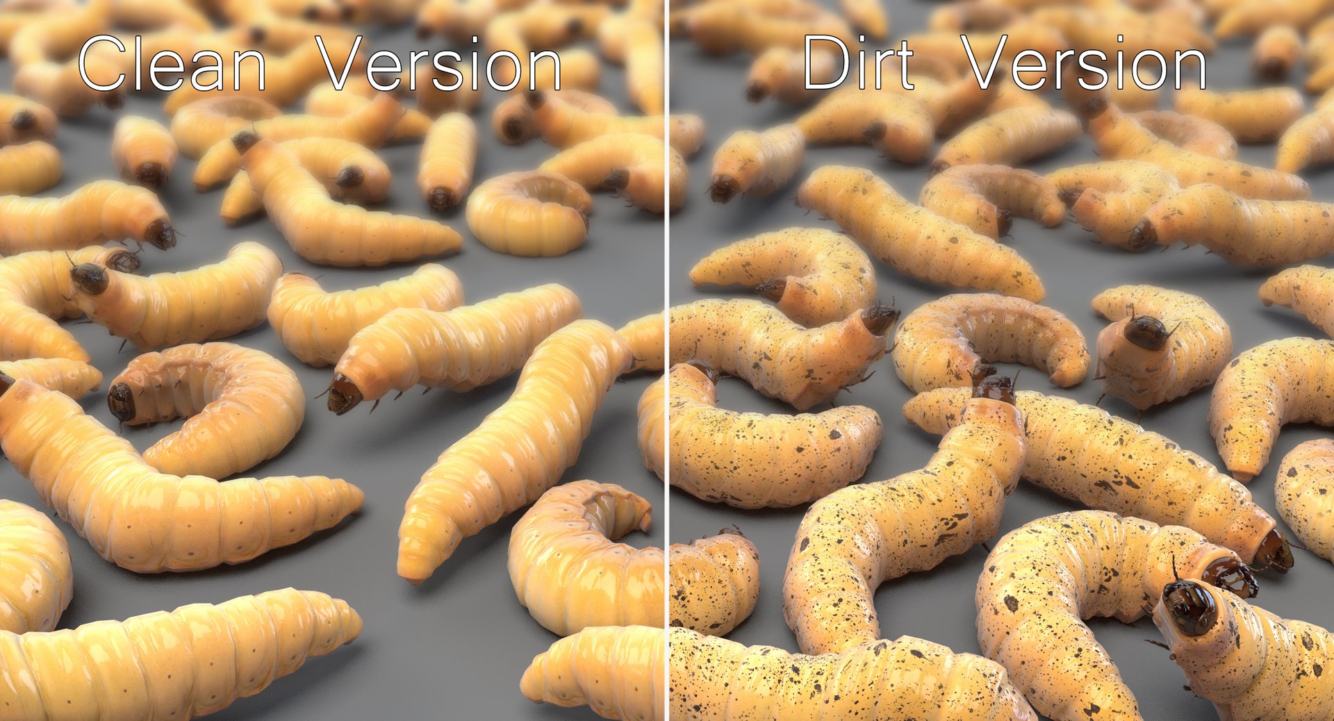 Realistic Maggot Rigged 3D - TurboSquid 1512020