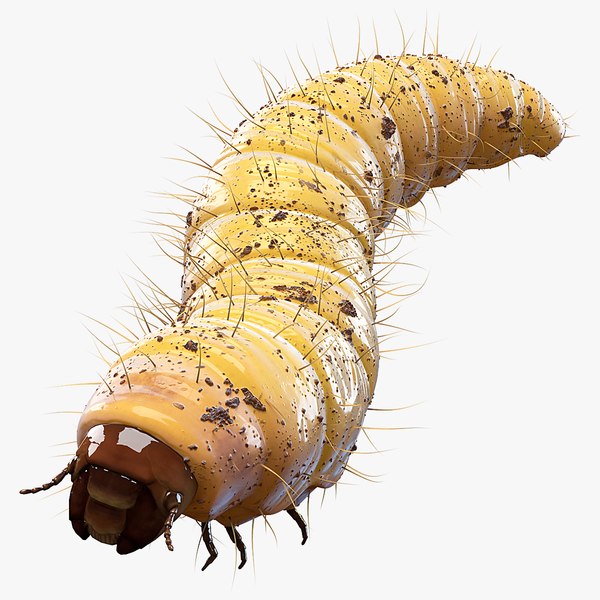 3d old syringe model