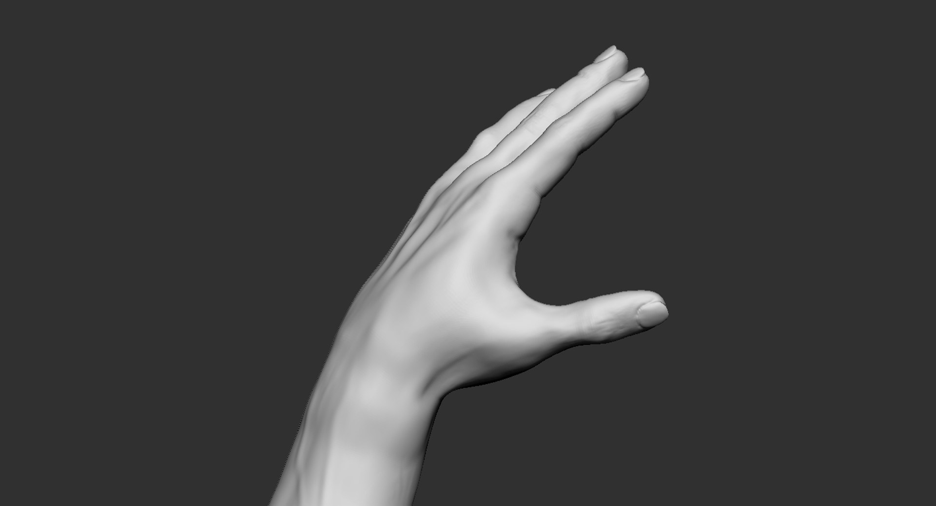 Human Muscular Arm 2019 3D Model - TurboSquid 1440054