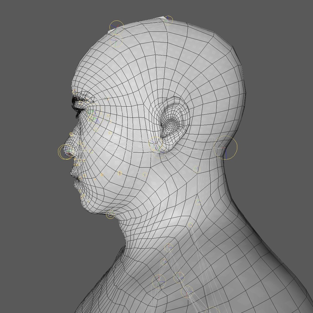 3d c4d realistic base mesh 45