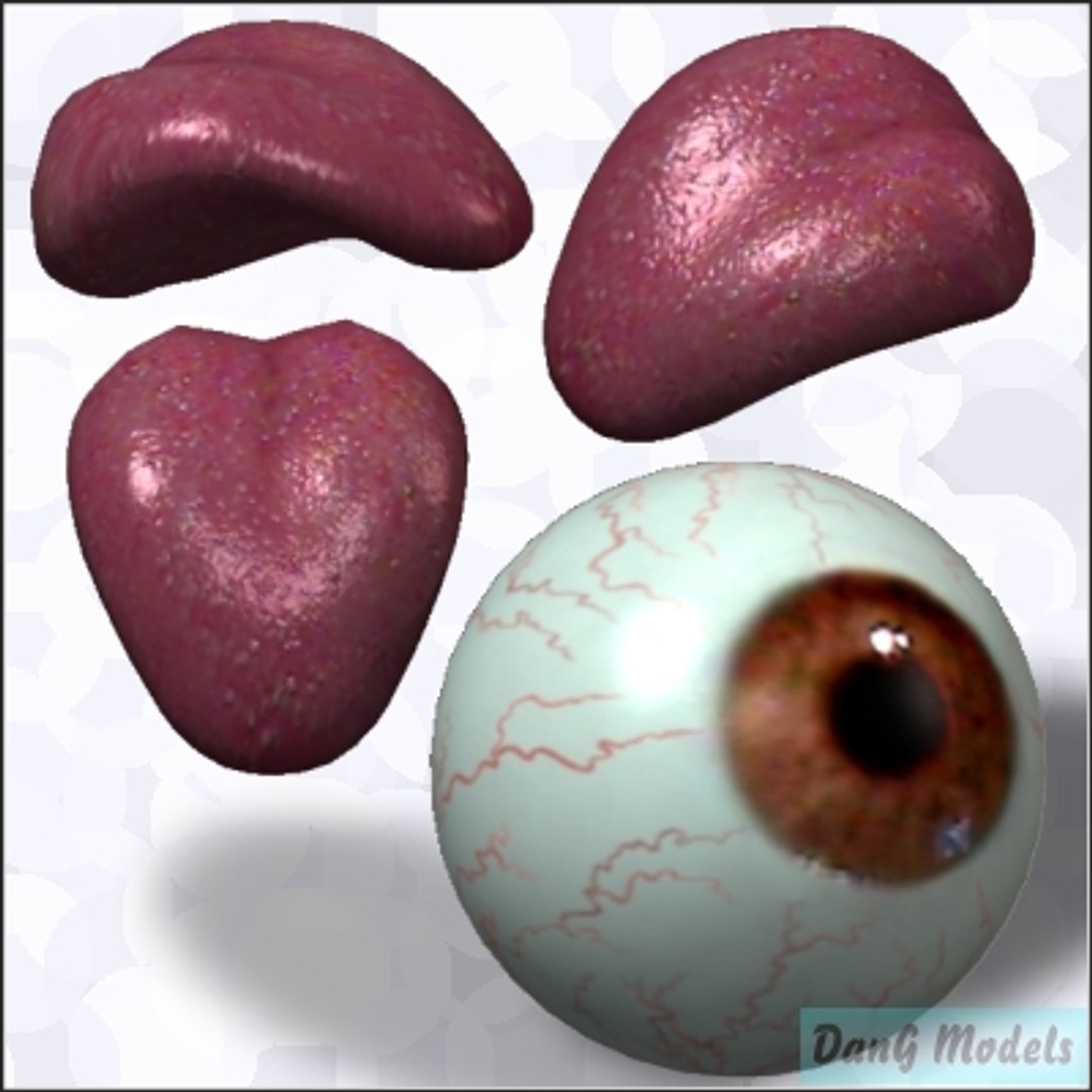 Truespace Child Head Eye