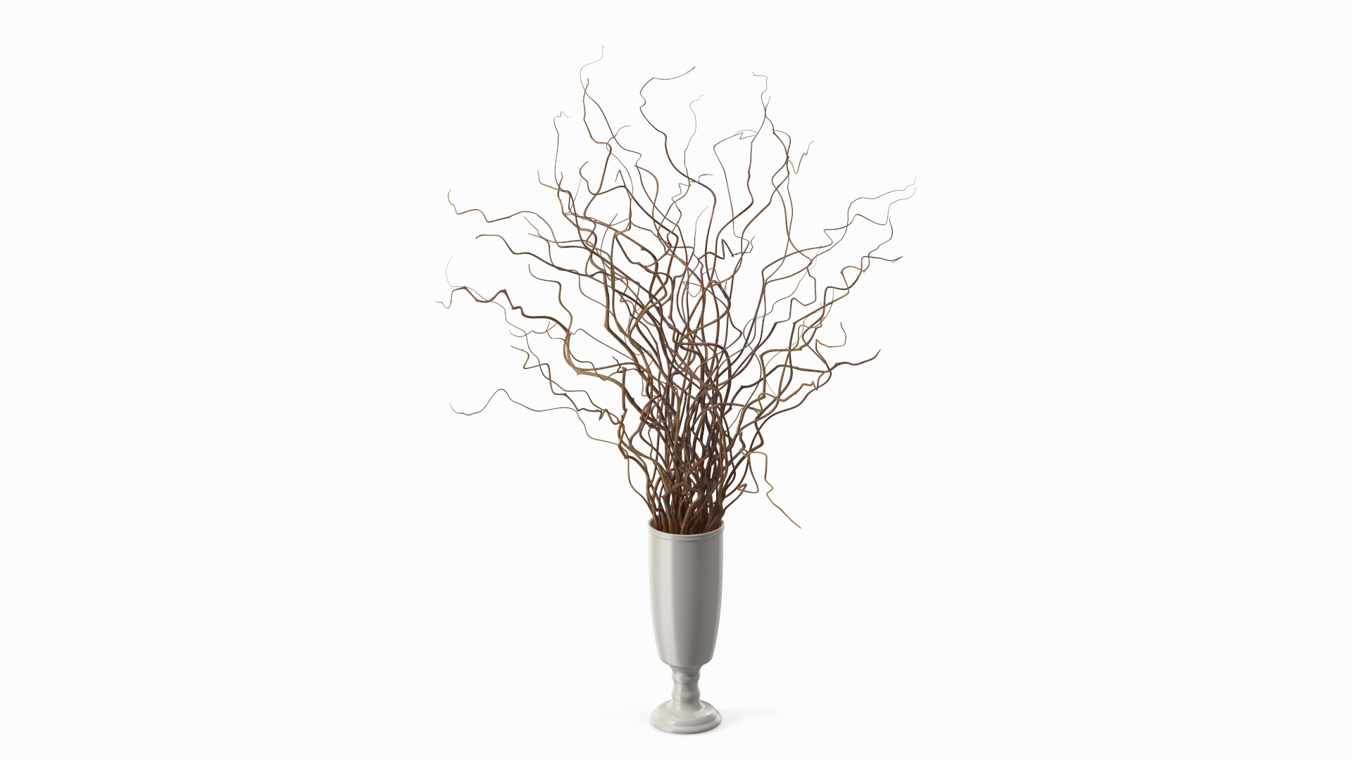 3D Decorative Dried Brown Curly Willow In White Vase Model - TurboSquid ...