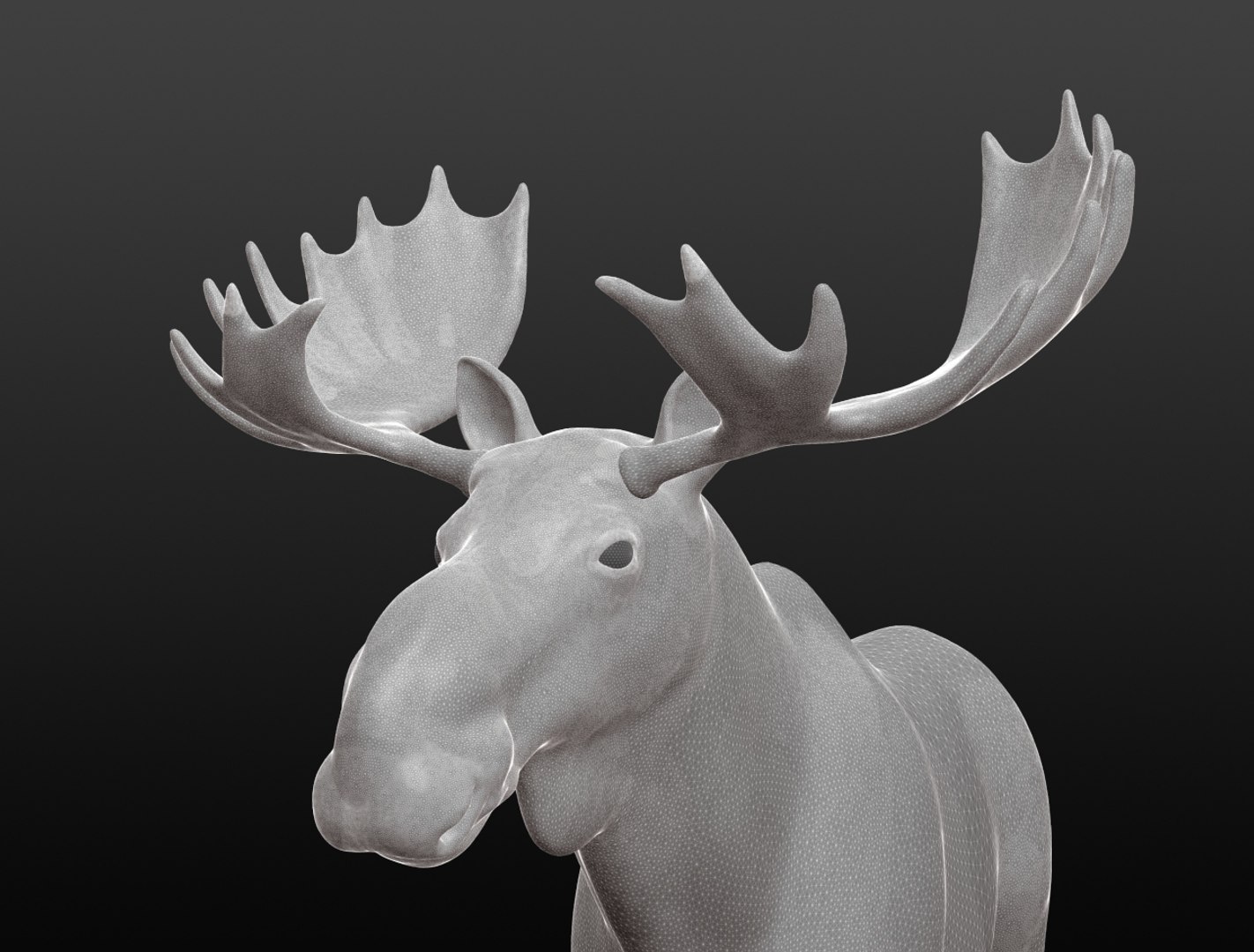 3D Moose Base Mesh Model - TurboSquid 1433819