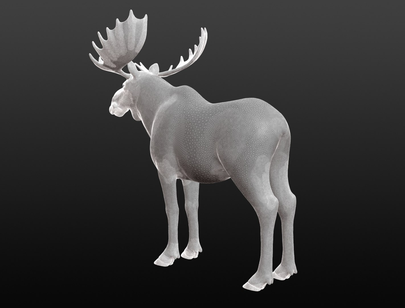 3D Moose Base Mesh Model - TurboSquid 1433819