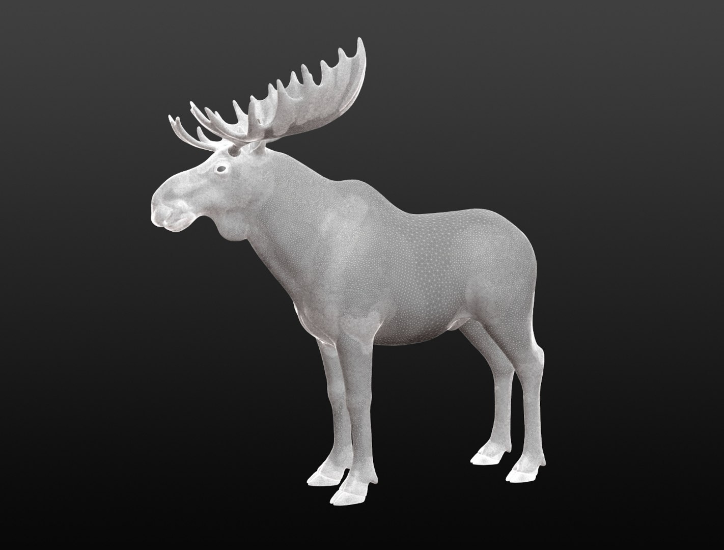 3D Moose Base Mesh Model - TurboSquid 1433819