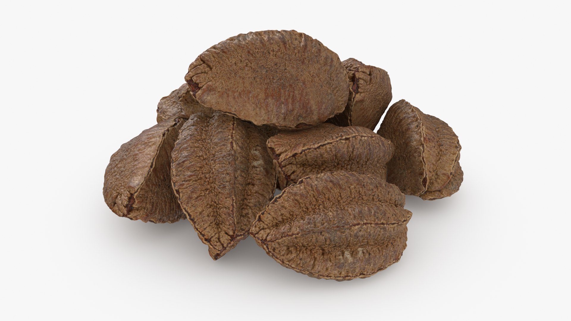Brazil Nuts In Shell 3D Model - TurboSquid 2282687