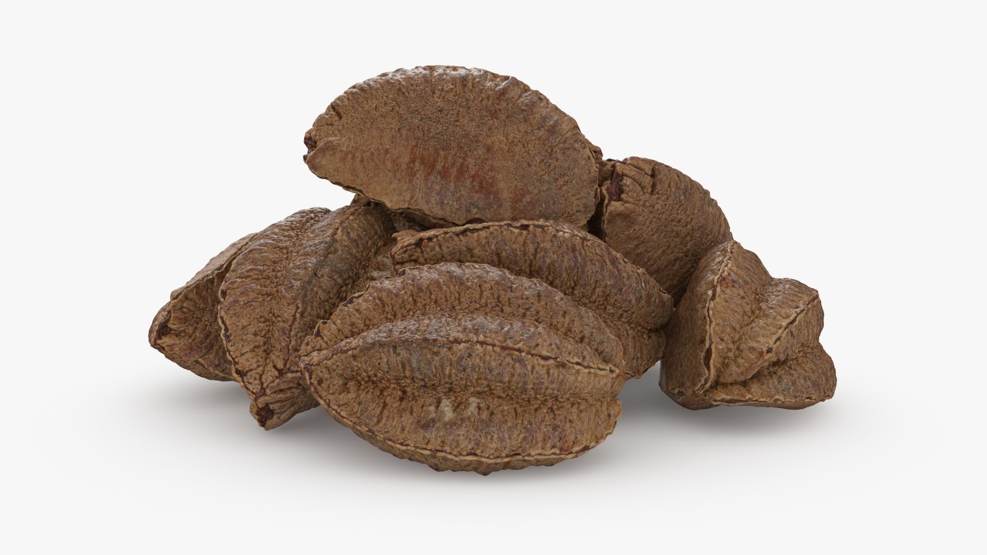 Brazil Nuts In Shell 3D Model - TurboSquid 2282687
