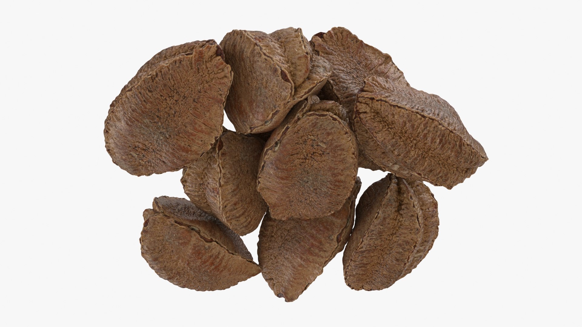 Brazil Nuts In Shell 3D Model - TurboSquid 2282687