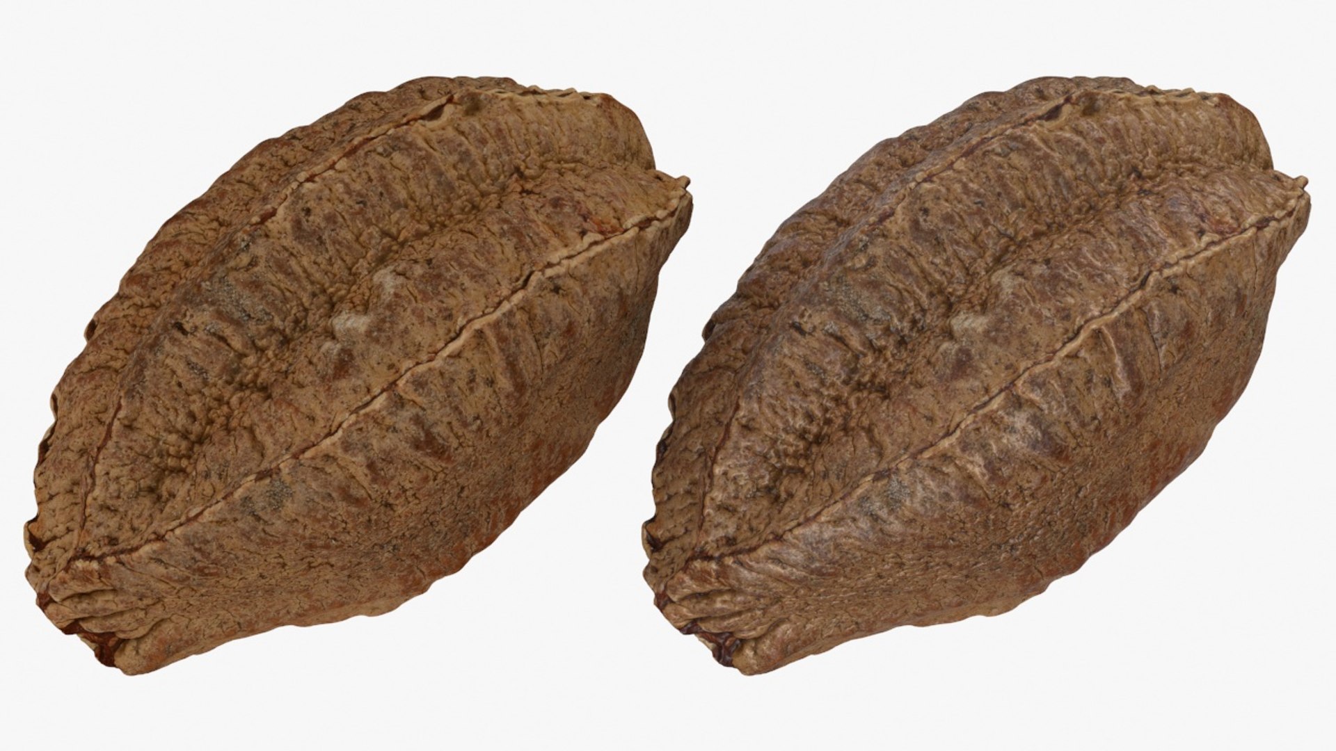 Brazil Nuts In Shell 3D Model - TurboSquid 2282687