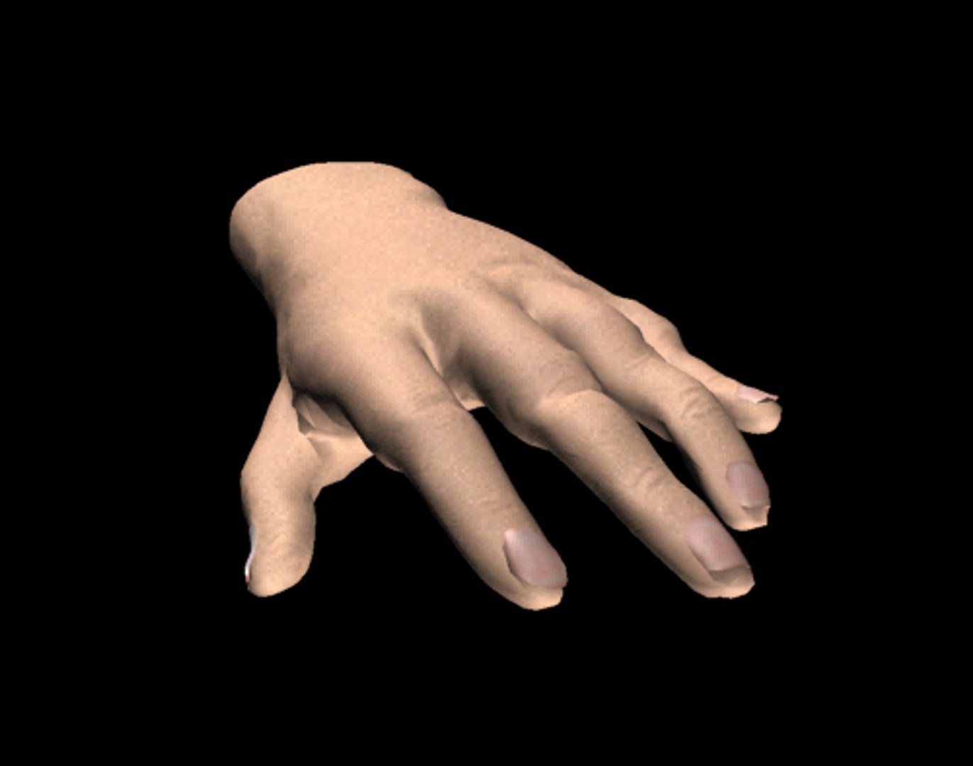 3d Model Hand Jointed