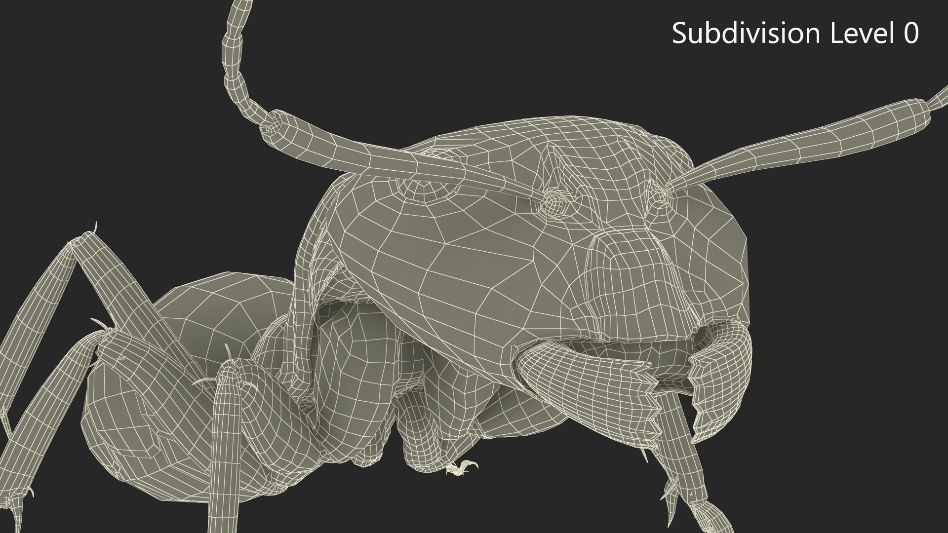 Realistic Black Ant Insect 3D Model - TurboSquid 2350641