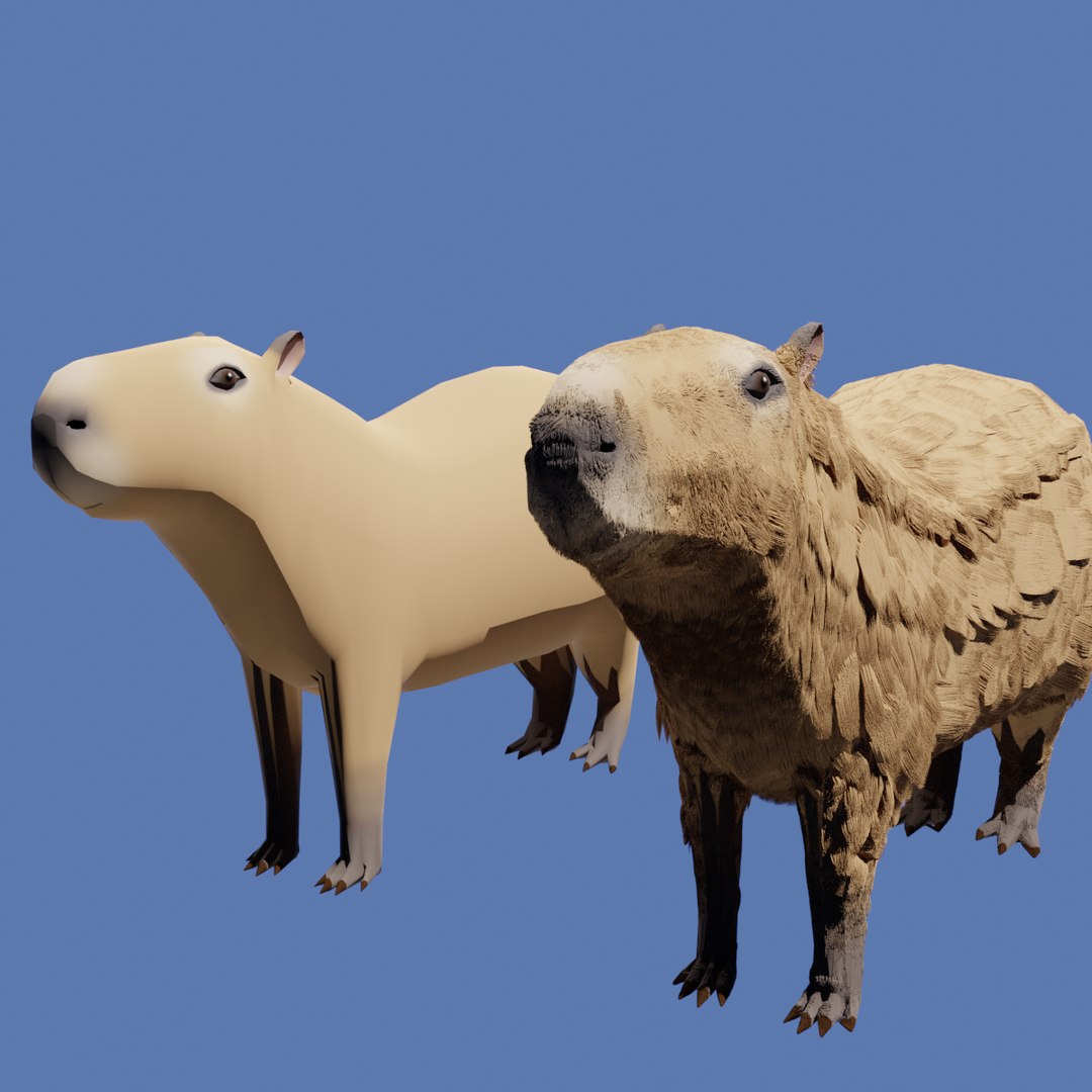 Capybara 3d Model Turbosquid 2152907