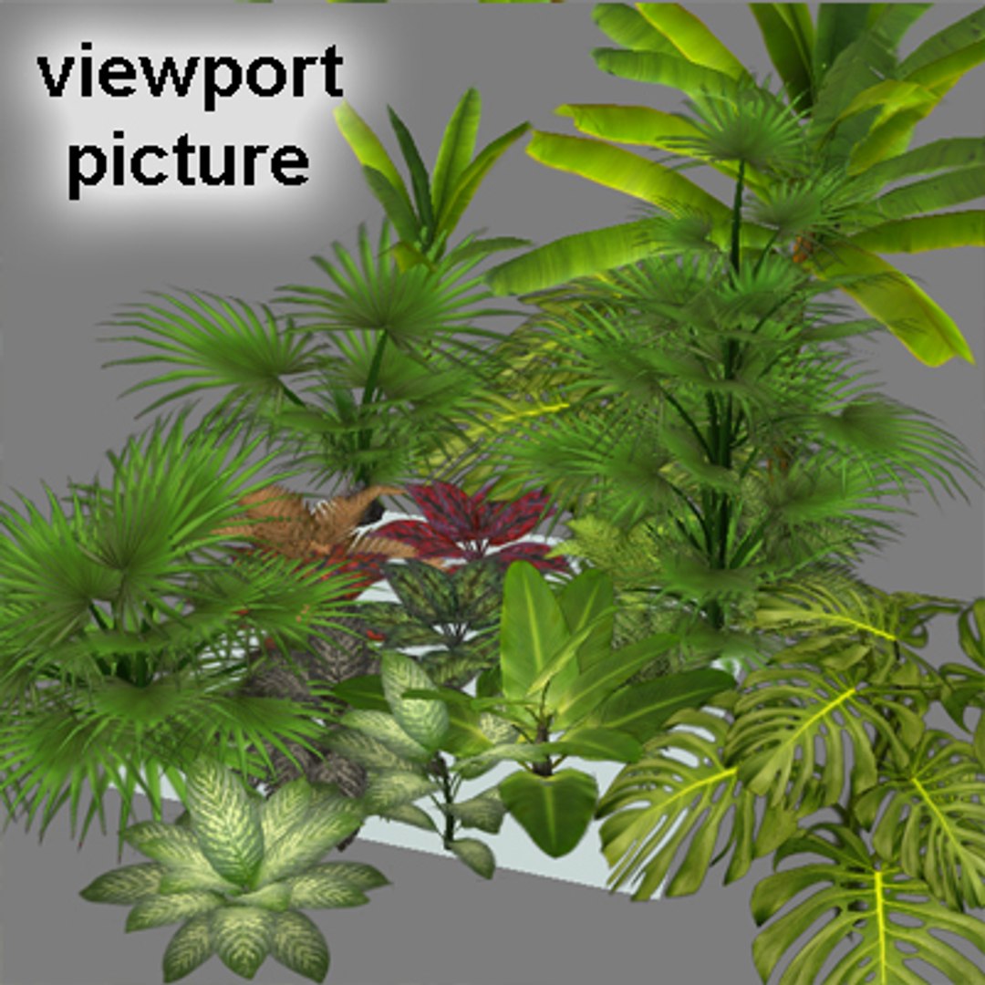 3d Model Tropical Plants