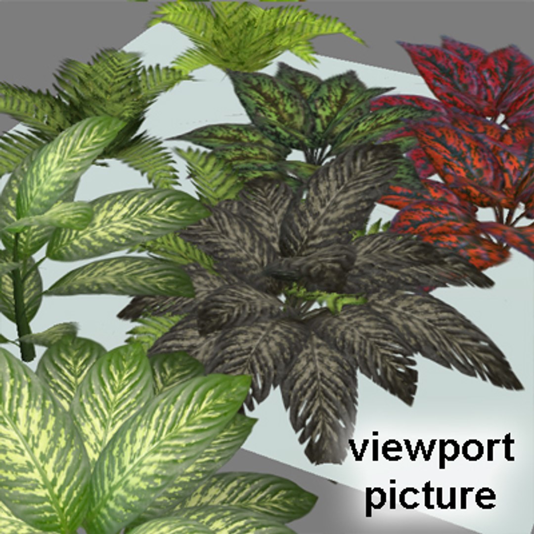 3d Model Tropical Plants