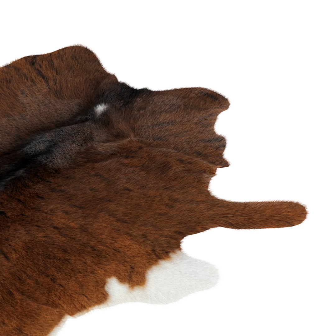 Animal Skin Rug 13 Model - TurboSquid 1784150