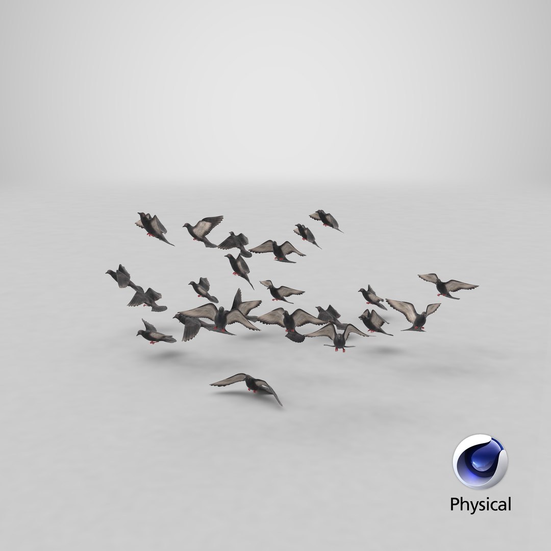 3D flock flying medium 01 - TurboSquid 1320340