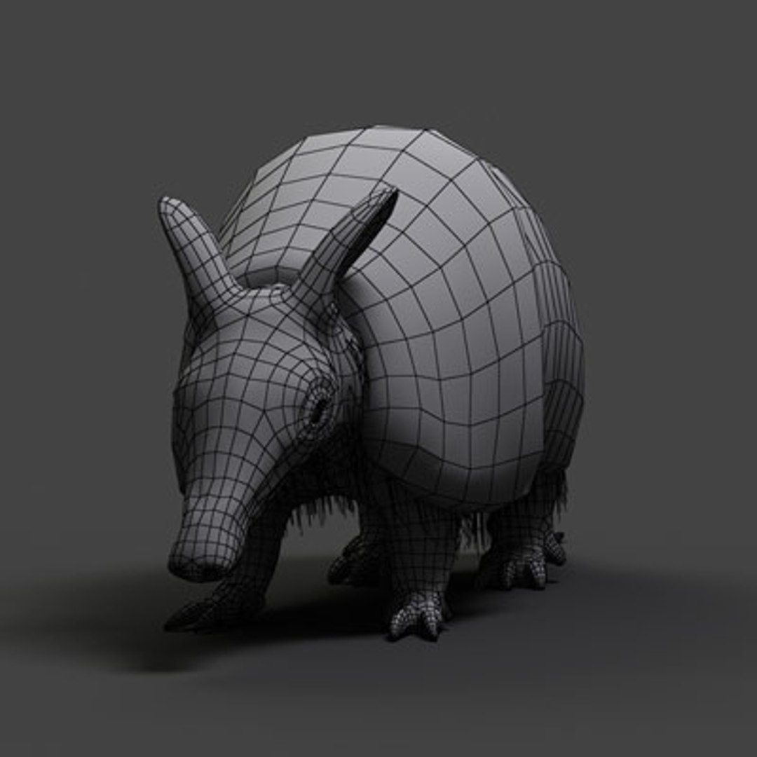 Armadillo Animals Mammals 3d Model