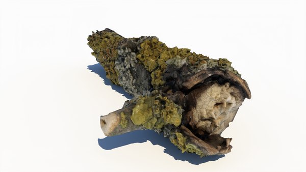 3D 3D Tree Stump Carved trunk Forest 3D model - TurboSquid 1828367