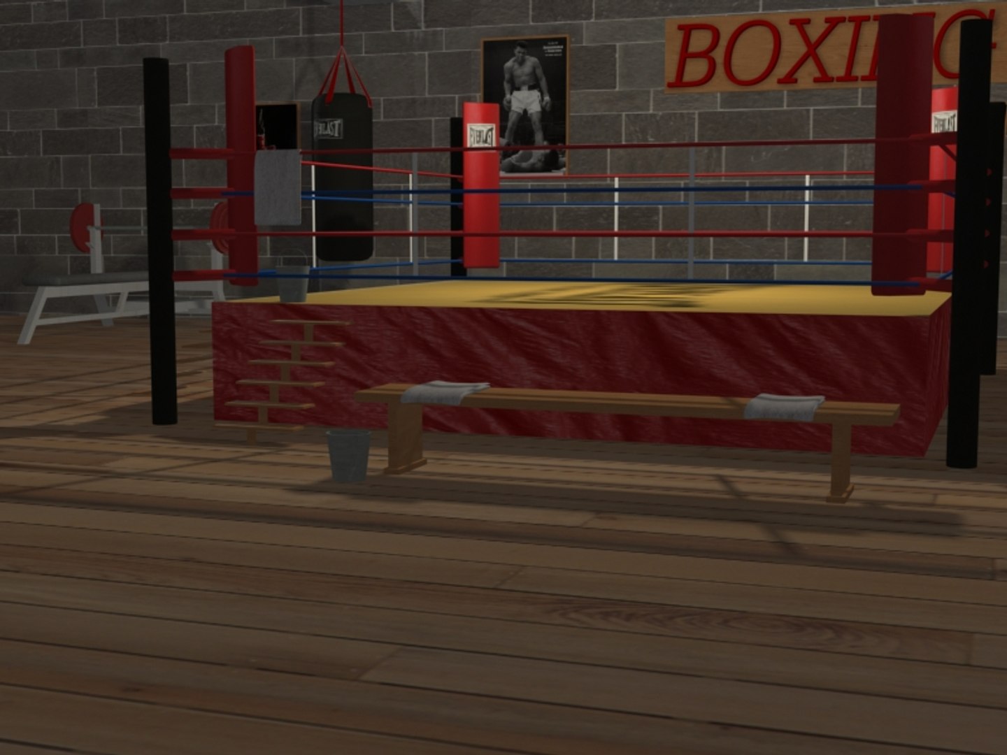 Max Boxing Gym