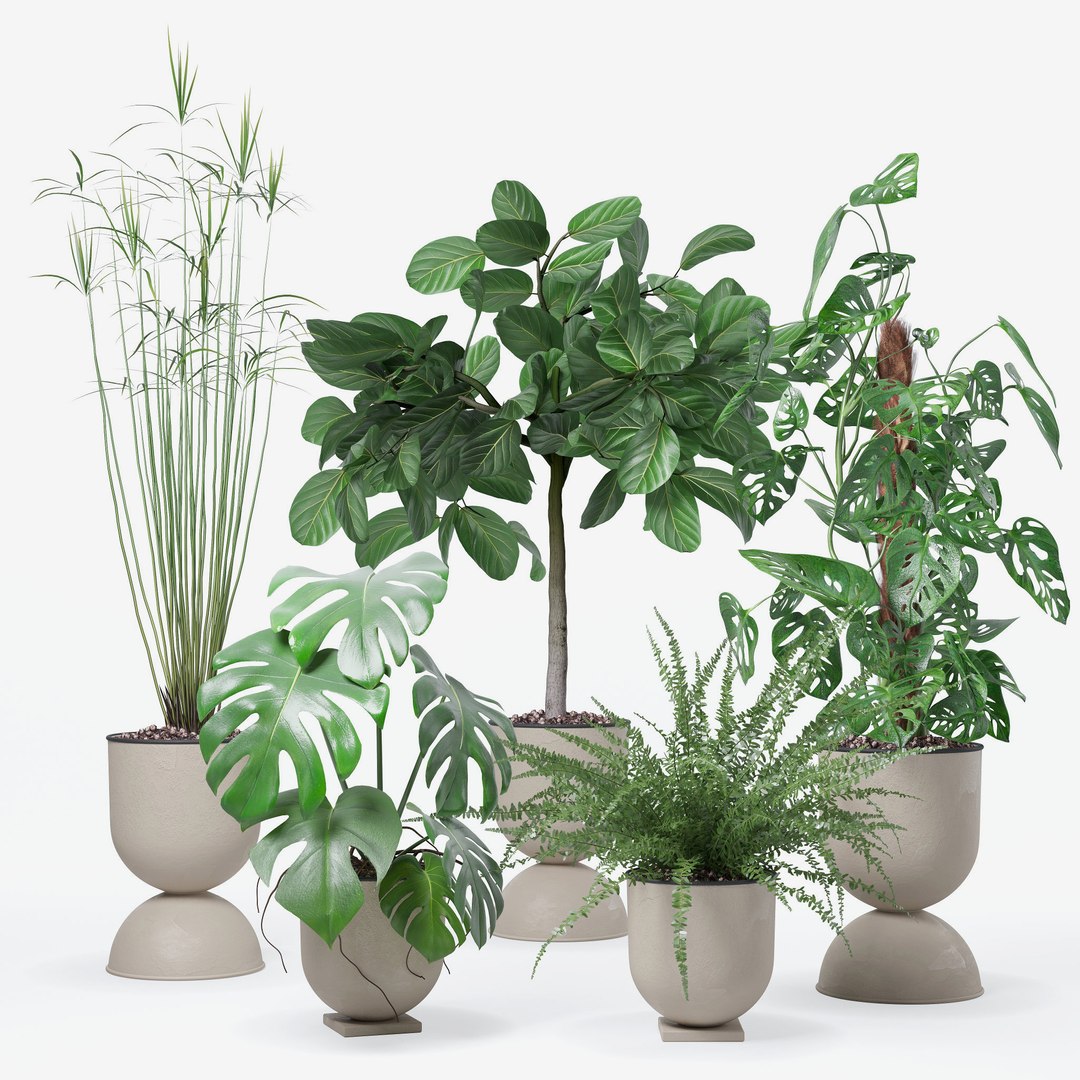 3D Plants collection 127 model - TurboSquid 1958927
