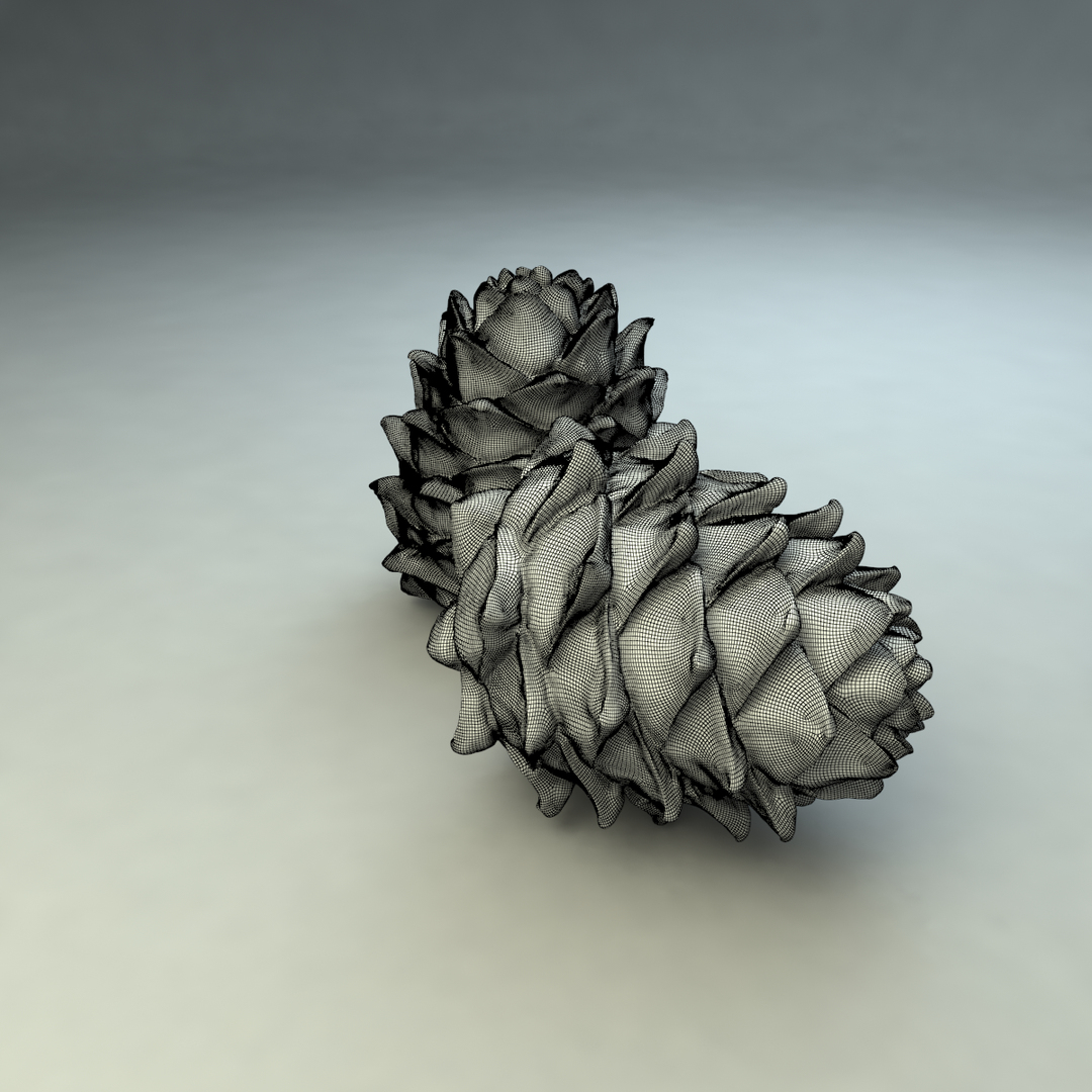 3d model pinecone cone