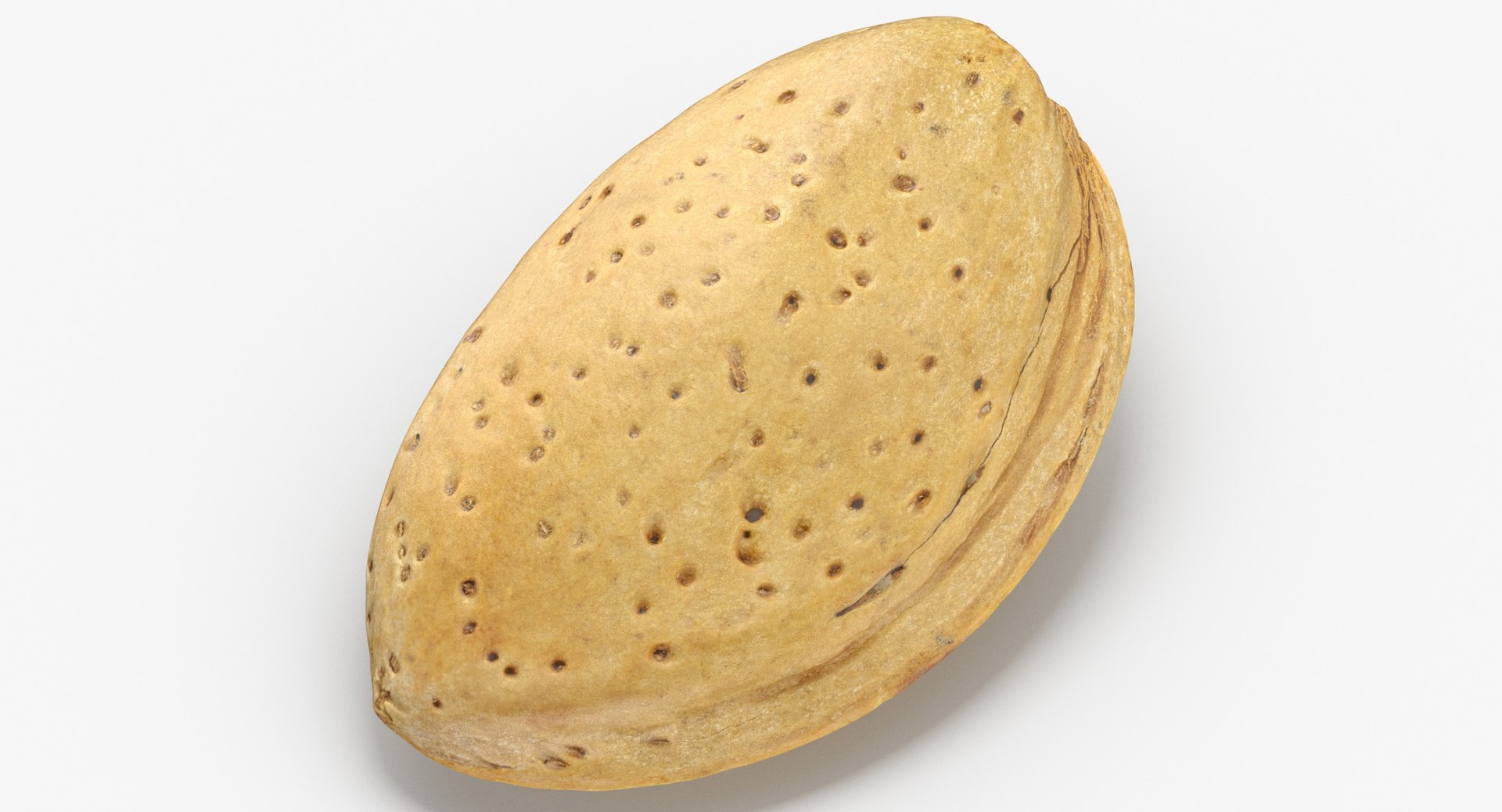 3D almond shell 02 - TurboSquid 1514864