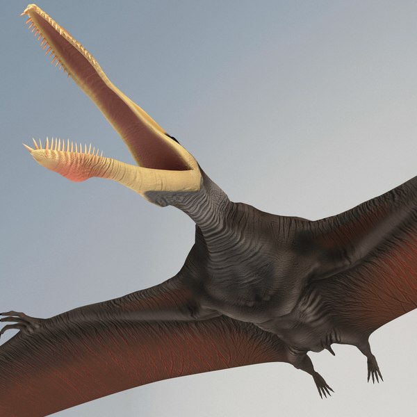 pterosaur static 3d model