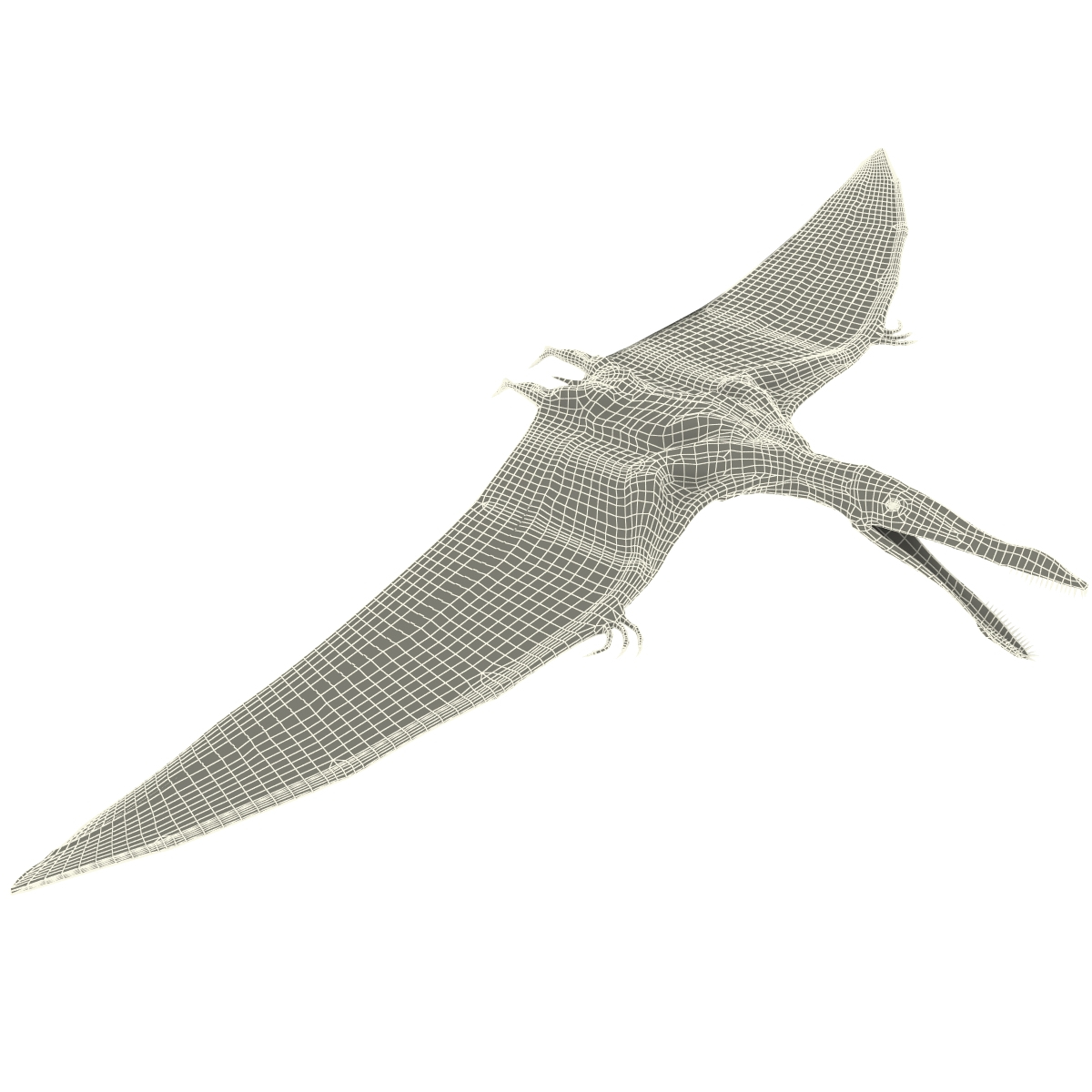 pterosaur static 3d model