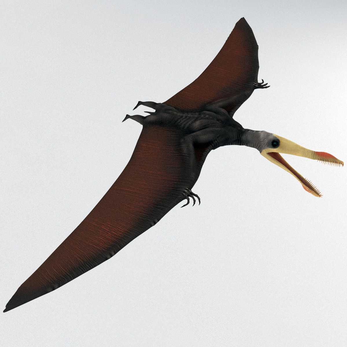 pterosaur static 3d model