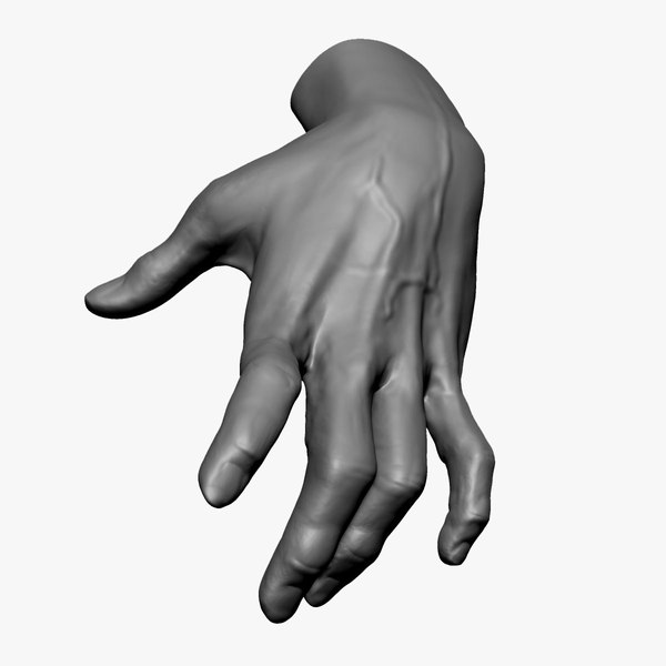 modelo 3d Modelo de mano A - TurboSquid 1937885