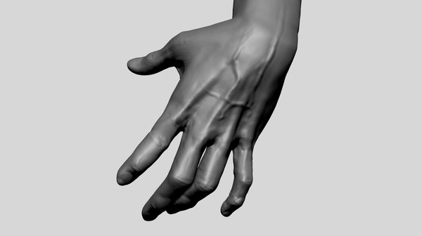 modelo 3d Modelo de mano A - TurboSquid 1937885