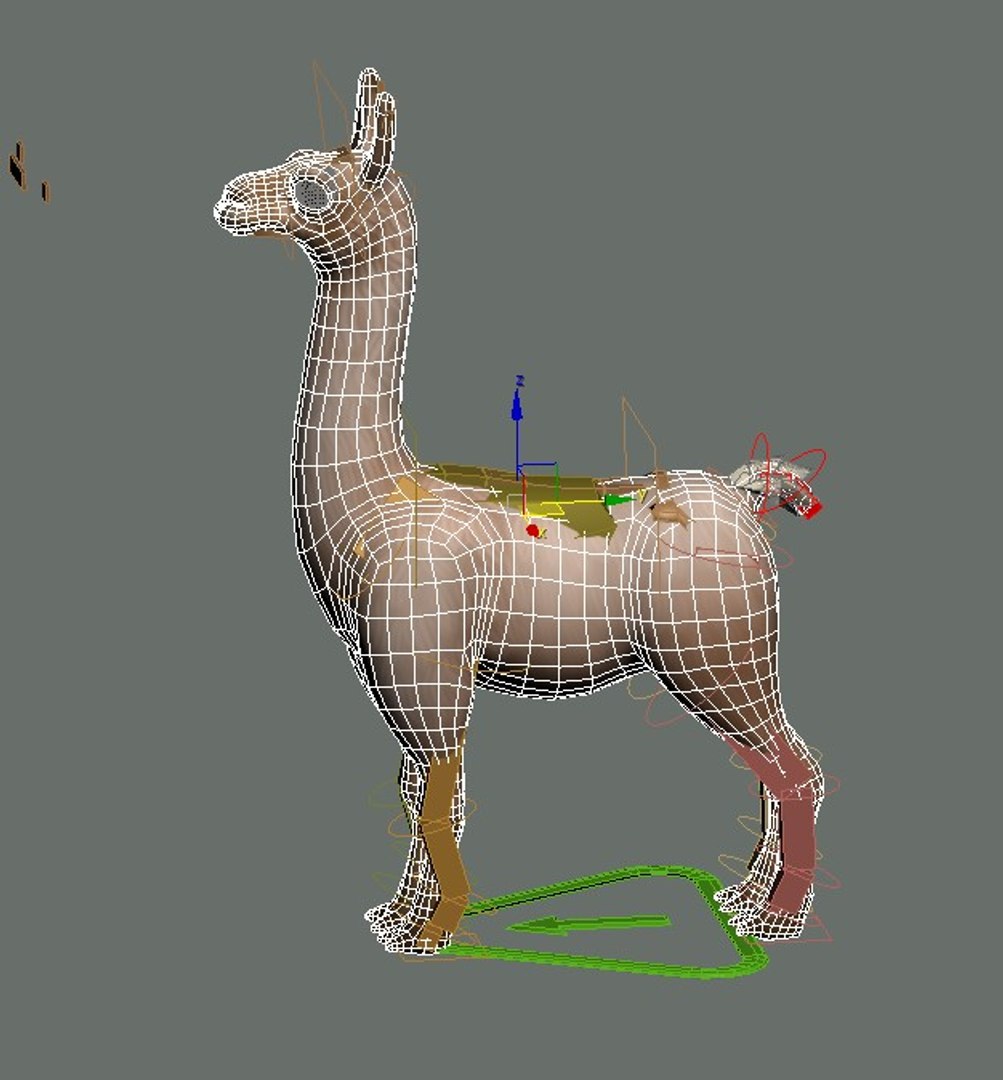 Farm Animal Alpaca Mammal 3D Model - TurboSquid 1598348