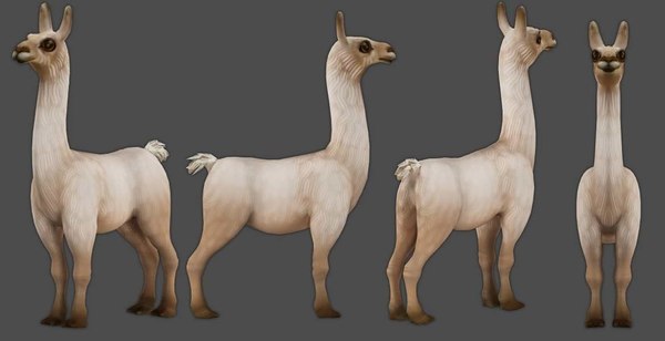 modelo 3d alpaca Low-poly - TurboSquid 1598348