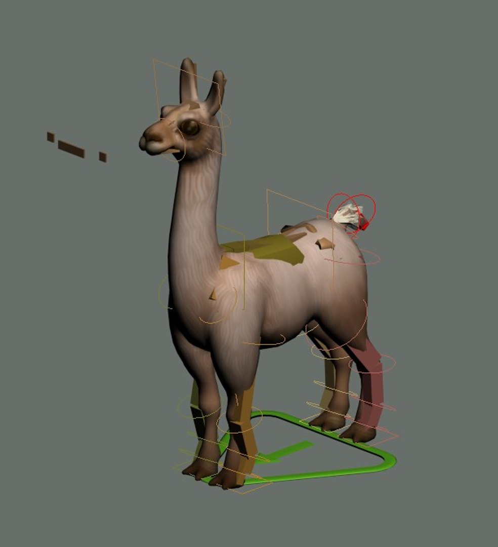 Farm Animal Alpaca Mammal 3D Model - TurboSquid 1598348
