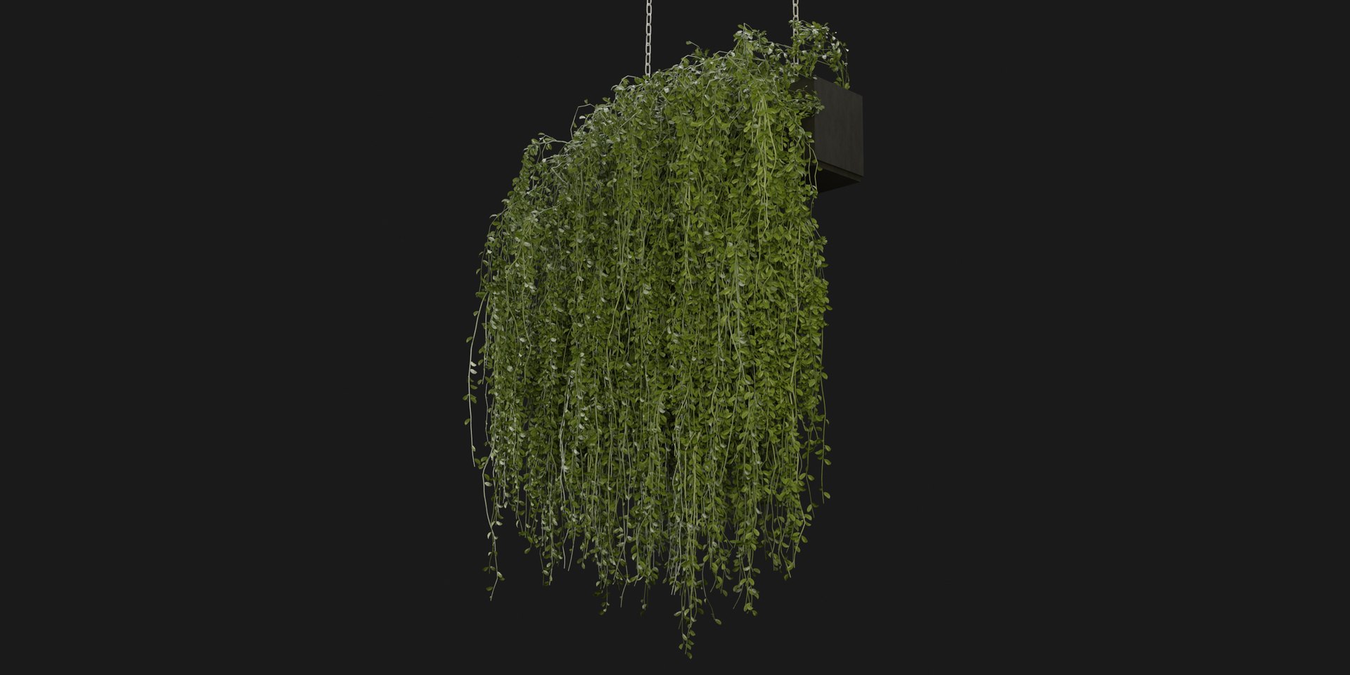 3D Collection Plant Vol 202 - Blender Model - TurboSquid 2086983