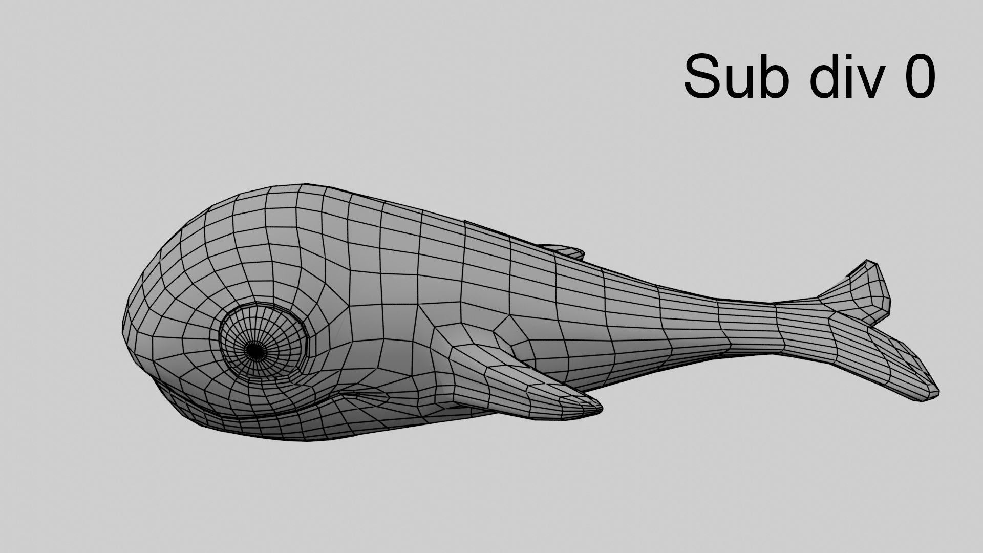 3D Model Whale1 - TurboSquid 2053120