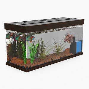 Download Free & Premium Fresh Water Aquarium 3D Models | TurboSquid
