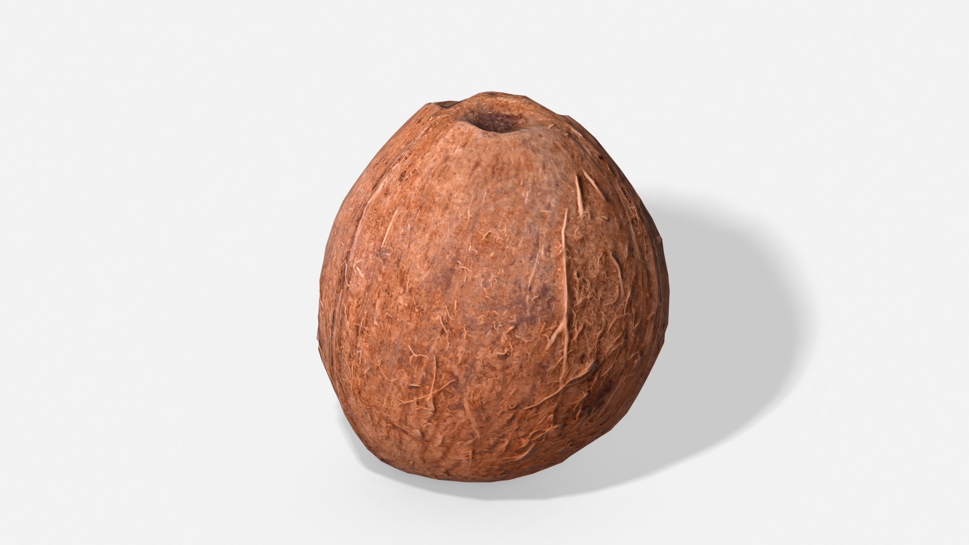 Exotic fruit coconut - 3D model - TurboSquid 1514322