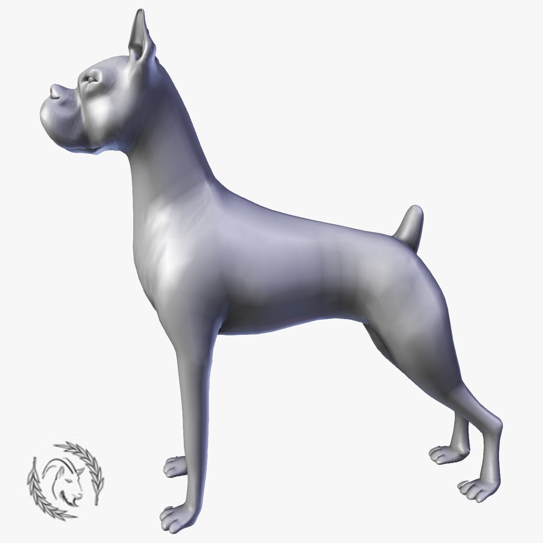 Boxer Dog Model - TurboSquid 1243026