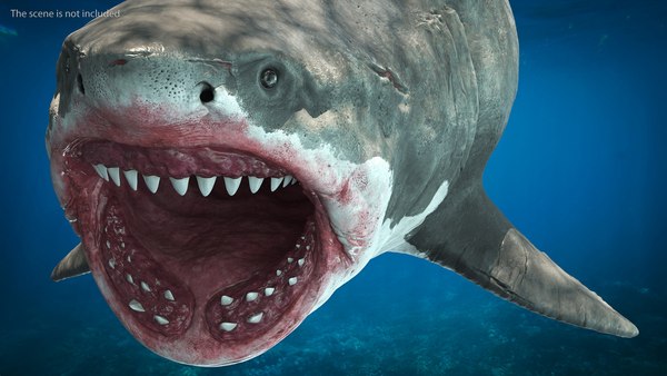 Megalodon Attacking Pose 3D - TurboSquid 1752639